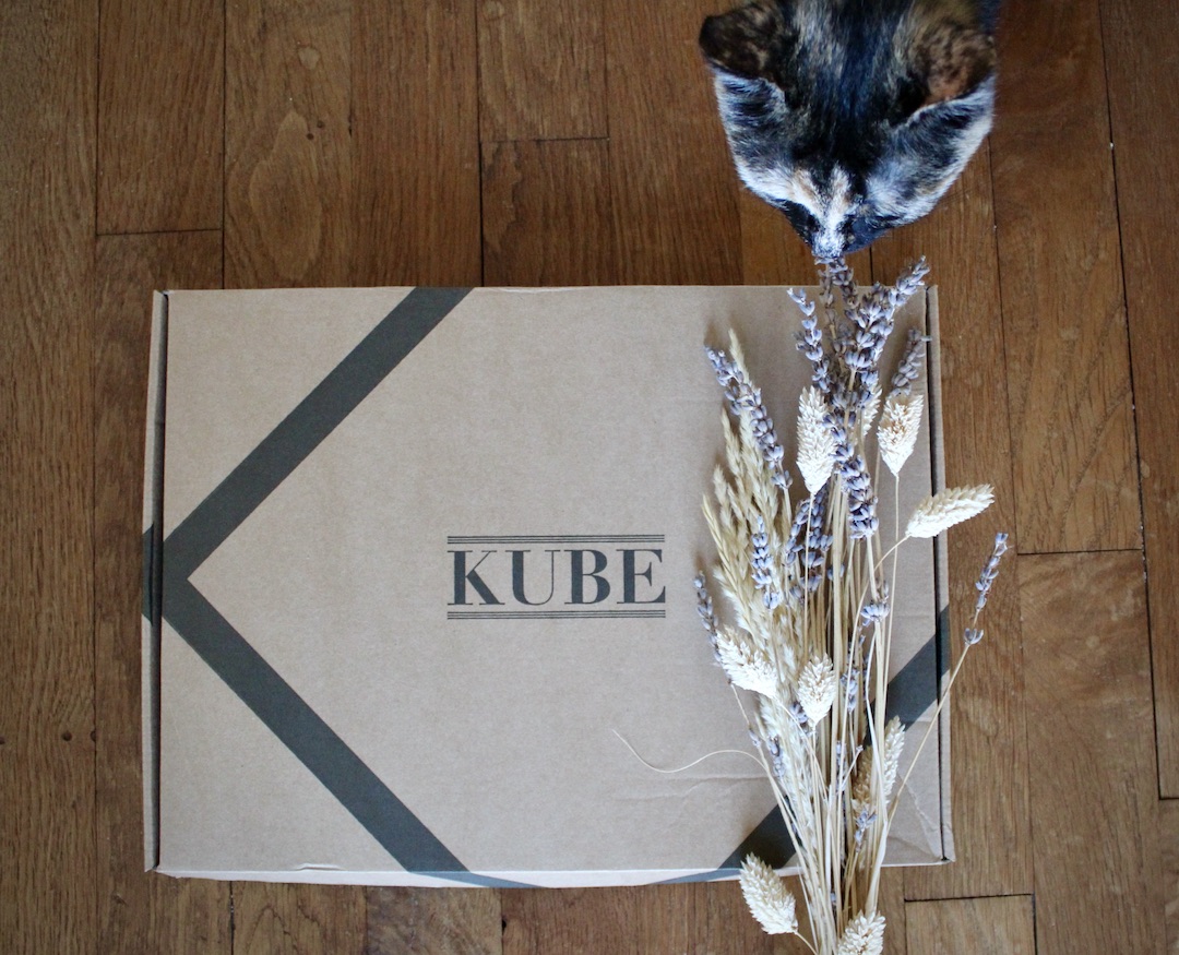 Mon avis sur la Box livre Kube - Pepnaf