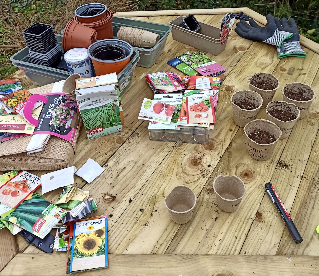 Comment faire des semis pour le potager ? - Pepnaf